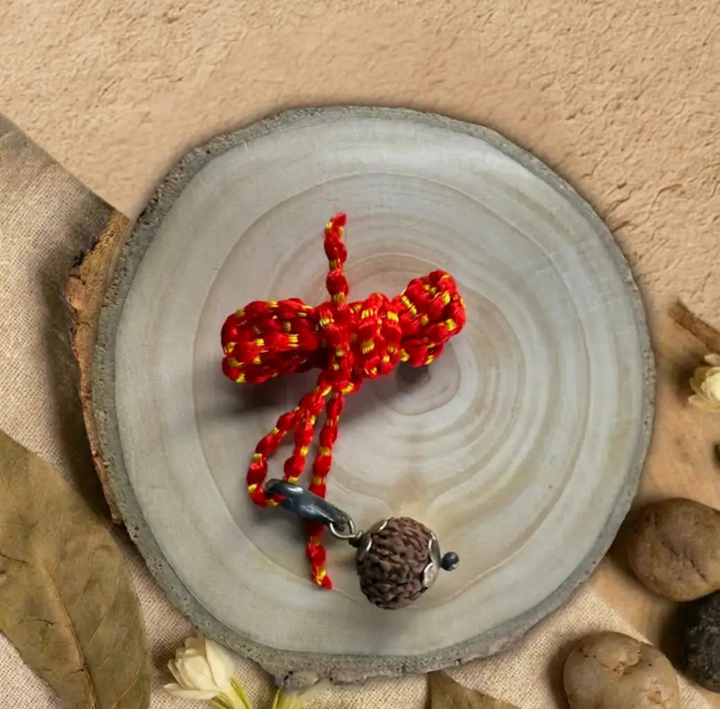 Original Rudraksha | Certified Mala, Beads, Bracelet – Dharmik