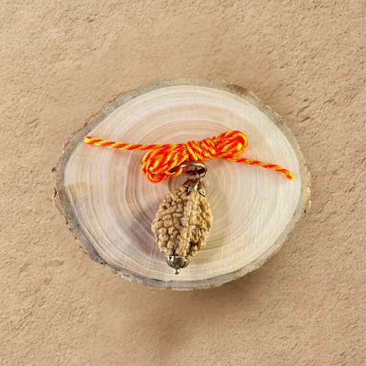 Original Rudraksha | Certified Mala, Beads, Bracelet – Dharmik